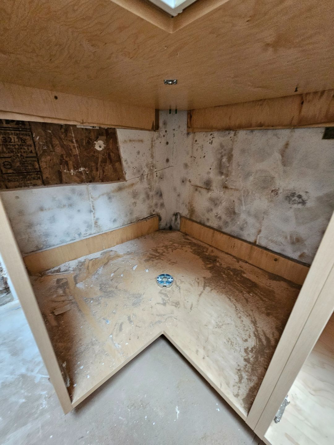 Comprehensive Mold Removal in Monterey County, CA